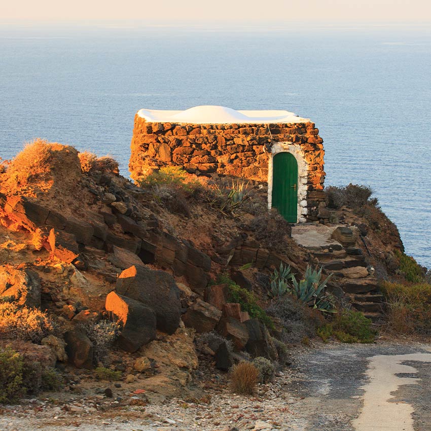 Colomba all'uva passa Zibibbo di Pantelleria | Di Stefano